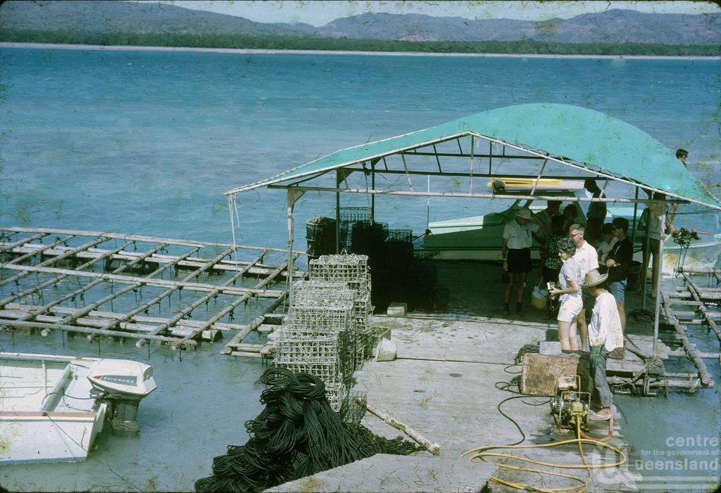 Torres Strait Island Regional Council | Queensland Places Torres Strait Island Regional Council | Queensland Places