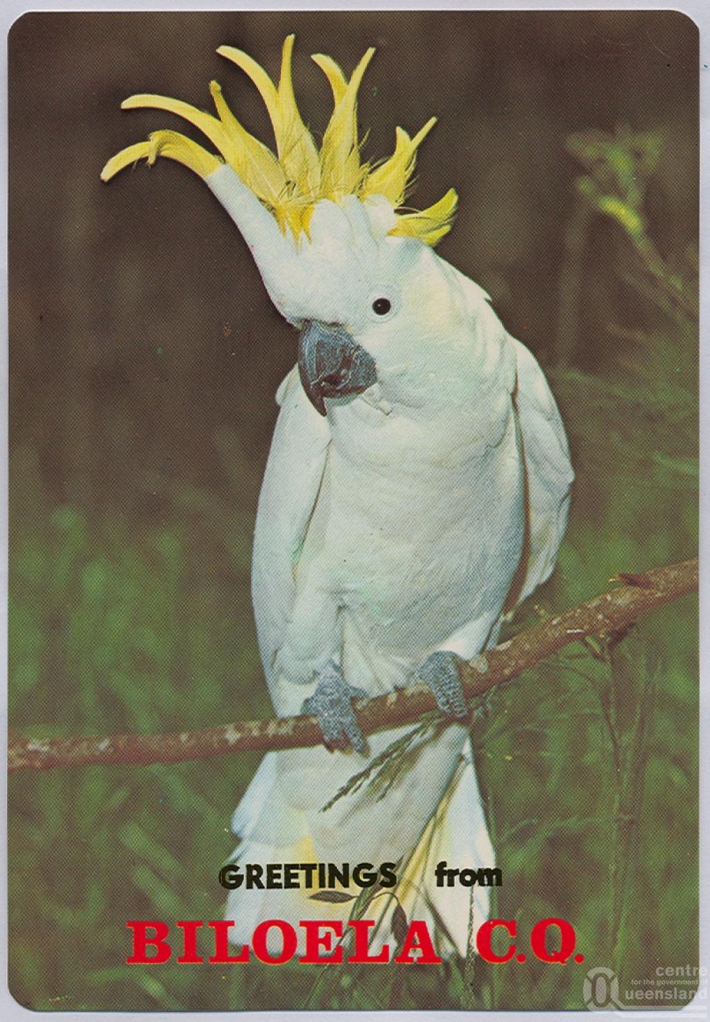 Biloela | Queensland Places