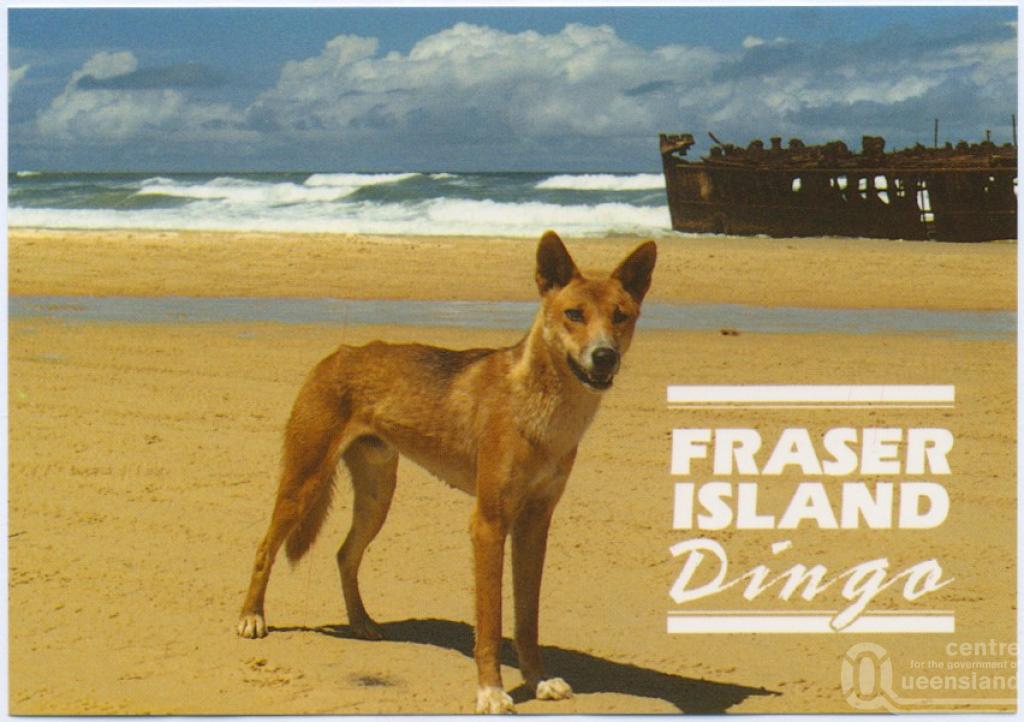 Fraser Island | Queensland Places