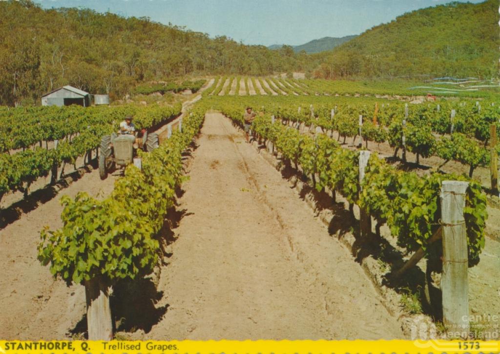 Stanthorpe | Queensland Places